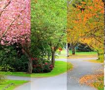 The Three Seasons of the School Year – Grumpy Old Teacher